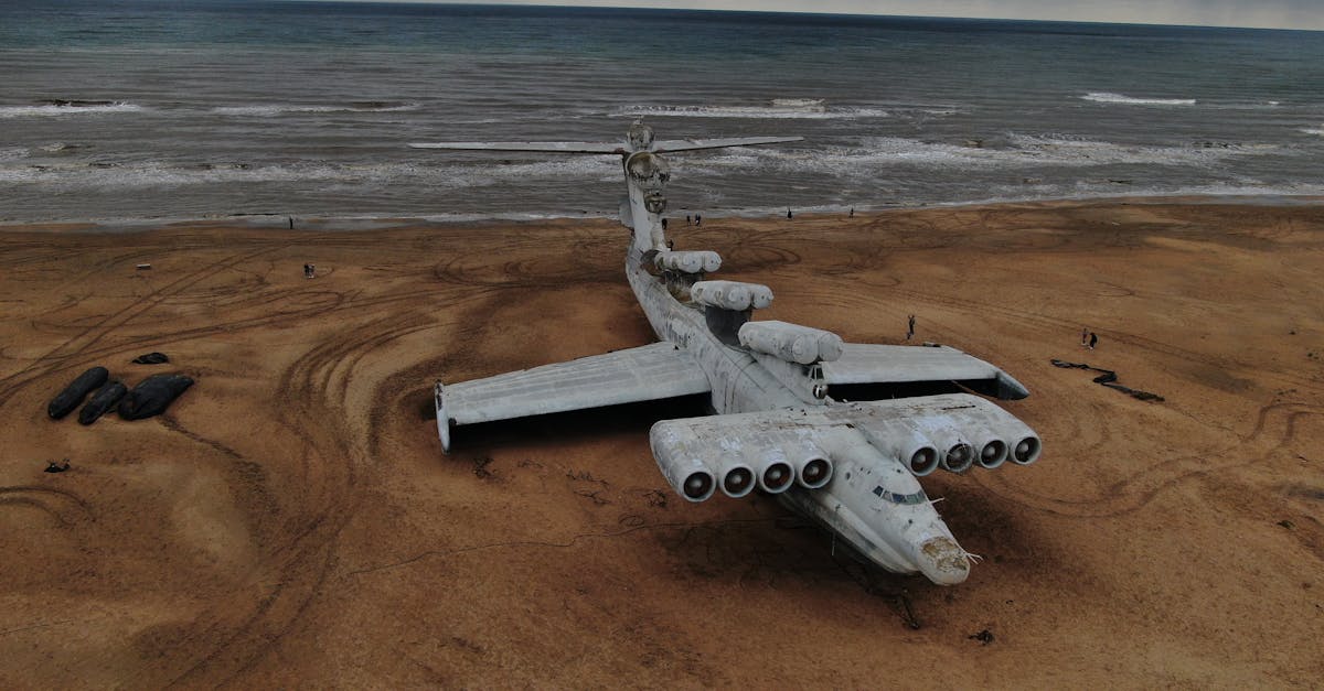 Bird Drones Military: The Stealth Revolution Changing Modern Warfare ...